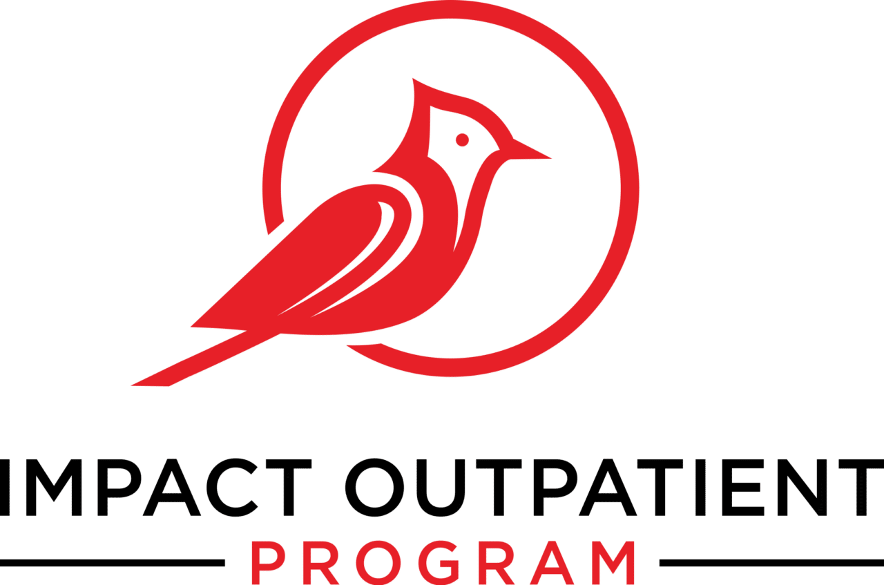 Alcohol Rehab Programs Provide Tools for Lifelong Sobriety | Impact IOP